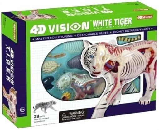 Mirax Hobbies - 4DVISION 26091 VISIBLE 4D WHITE TIGER ANATOMY KIT ( 12 ... Mirax Hobbies - 4DVISION 26091 VISIBLE 4D WHITE TIGER ANATOMY KIT ( 12 ...