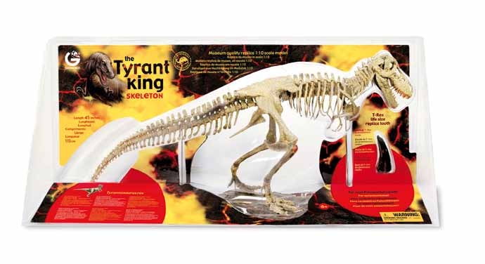 Mirax Hobbies - GEOWORLD CL052K T REX SKELETON DELUXE