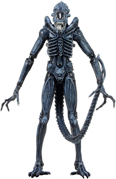 Mirax Hobbies - NECA 51394 FIGURA ALIEN 7 PULGADAS XENOMORPH WARRIOR HLWN