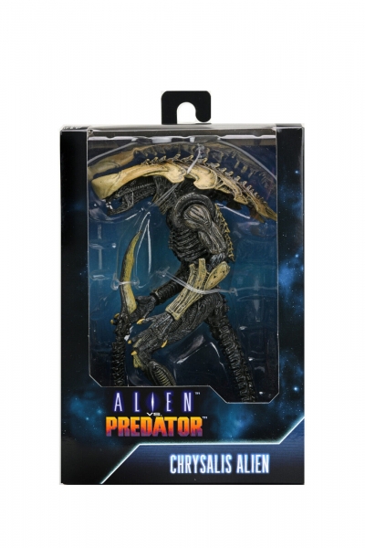 Mirax Hobbies - NECA 51717 FIGURA ALIEN VS PREDATOS 7 PULGADAS ...